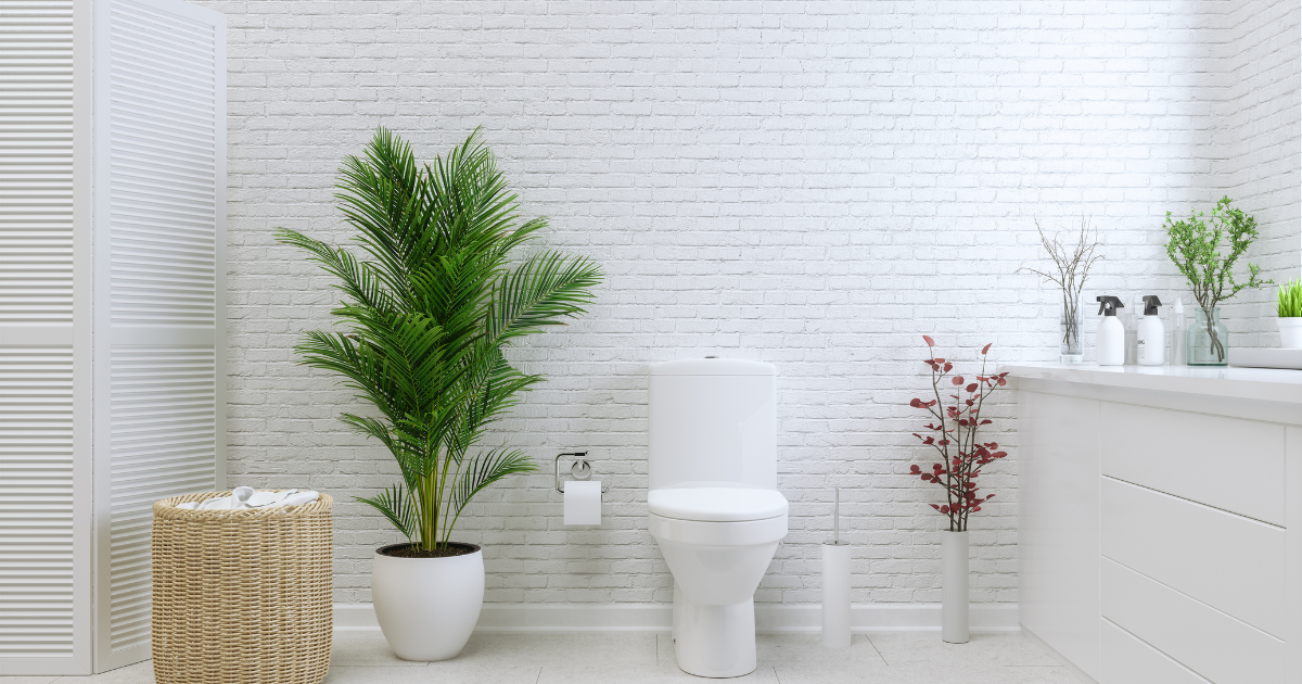 How to Protect Bathroom Walls from Urine: Tips and Tricks